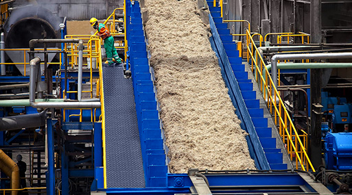 We are Paramonga - Agro Industrial Paramonga - AIP